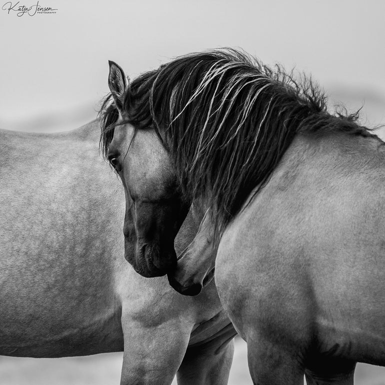 Fleeting Freedom – Katja Jensen