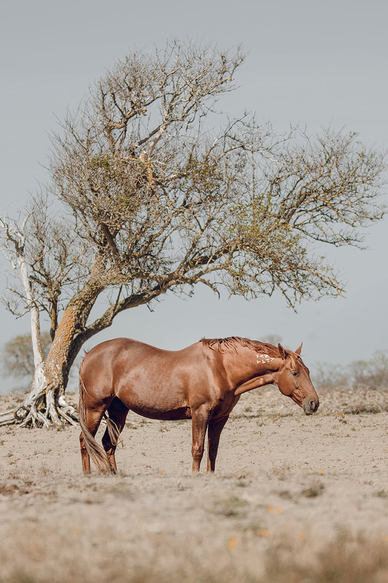 Fleeting Freedom – Katja Jensen