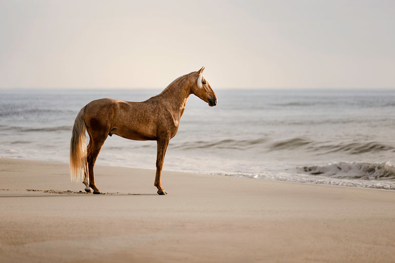 "Under Iberian Skies" – Katja Jensen
