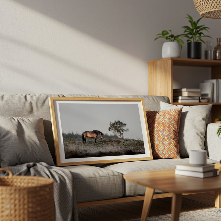 "Unbridled" – Katja Jensen