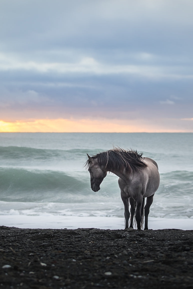 Fleeting Freedom – Katja Jensen