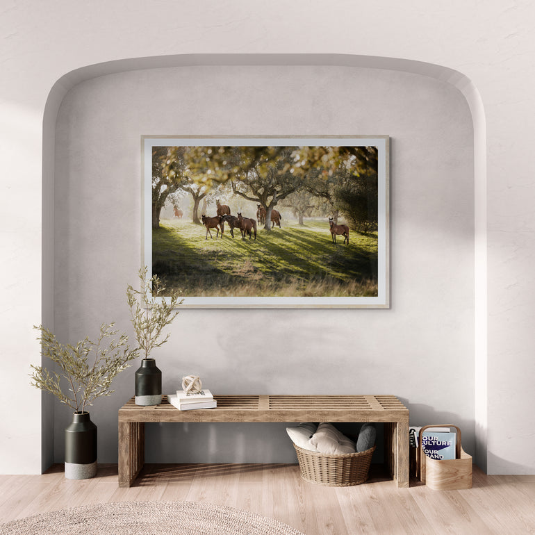 "Under Iberian Skies" – Katja Jensen