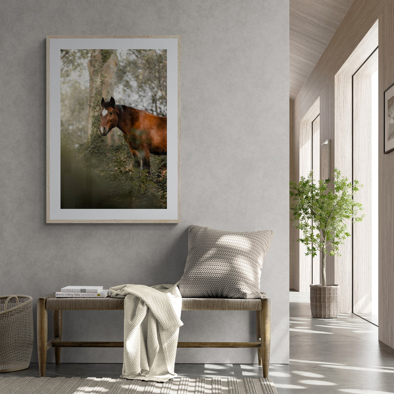 "Under Iberian Skies" – Katja Jensen