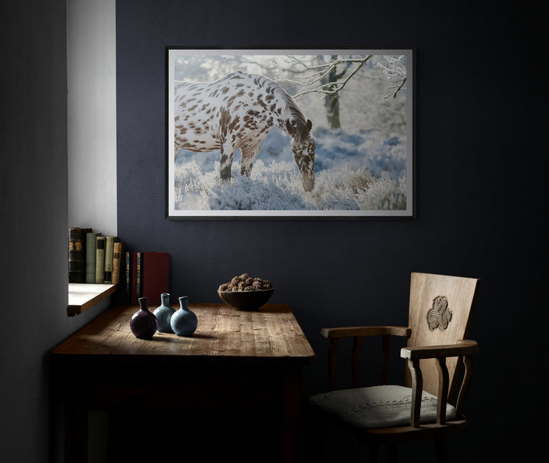 "Unbridled" – Katja Jensen