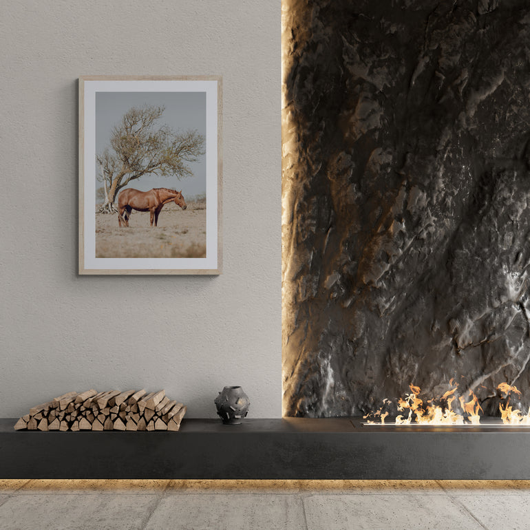 Fleeting Freedom – Katja Jensen