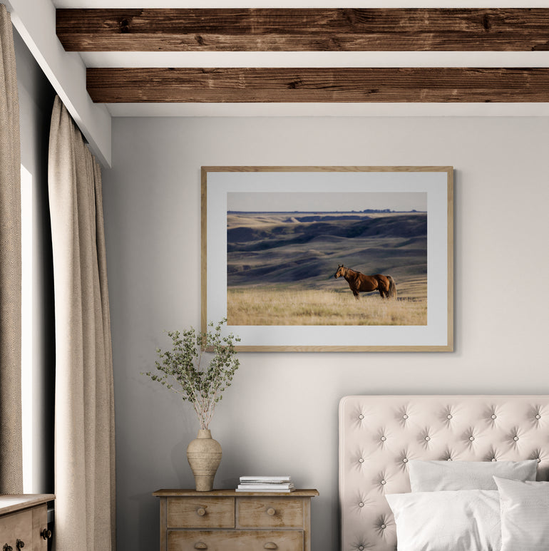 "Wide Open Spaces" – Katja Jensen