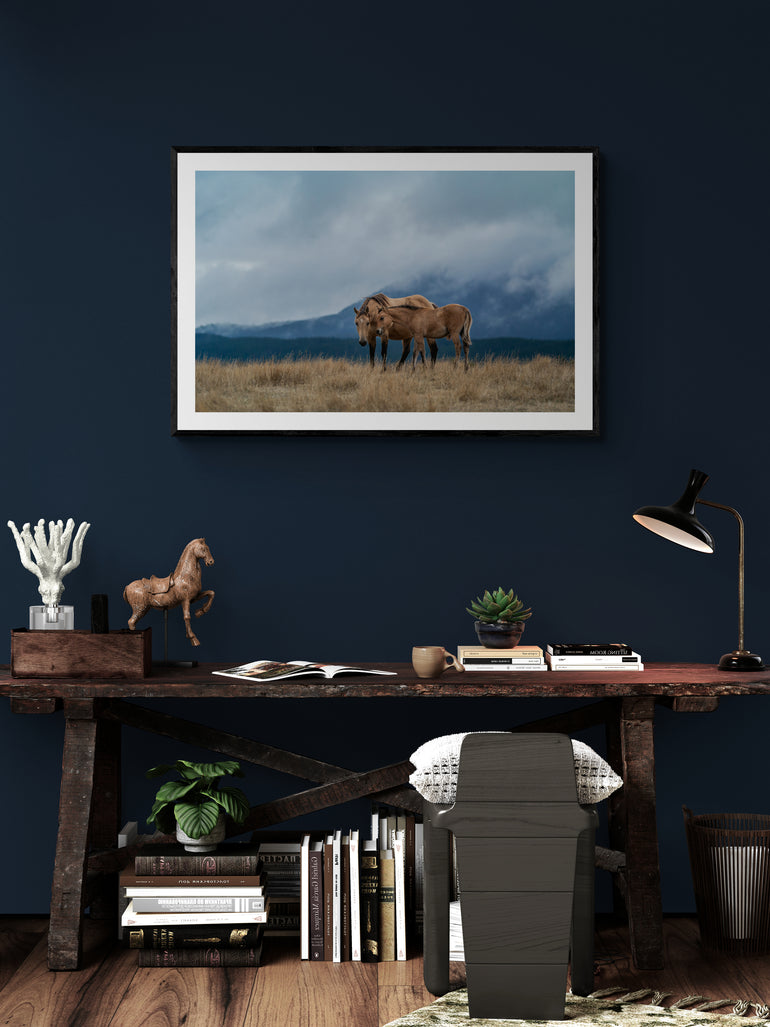 Fleeting Freedom – Katja Jensen